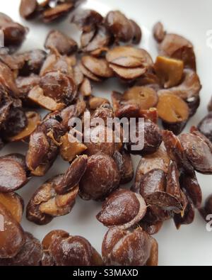 Fermented locust beans. Dawadawa Stock Photo - Alamy