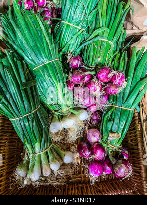 Bunches of spring onions Stock Photo - Alamy