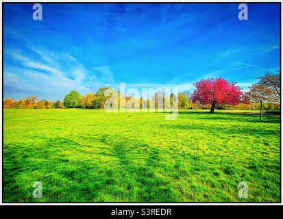Peckham Rye Park in Spring Time Stock Photo - Alamy