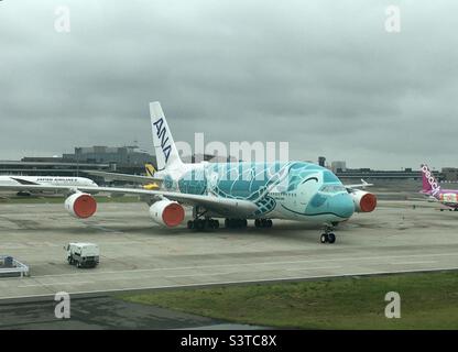 ANA Airbus 380 turtle design in long term parking due Covid at Narita ...