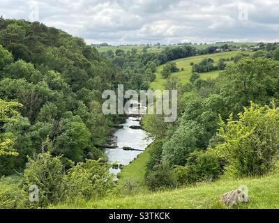 the river running through lathkill dale in the peak district national ...