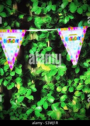 Happy Birthday bunting hangs in front of green foliage in a backyard in ...
