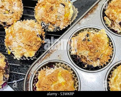 Freshly baked Blueberry muffins in a bowl on a rustic wooden cabinet ...