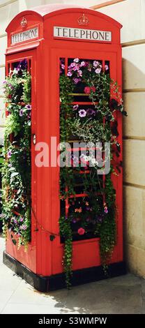 Red telephone box filled with flowers and potted plants, Bala Lake ...