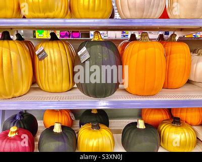 It’s autumn, my favorite season, and stores reflect that by stocking ...