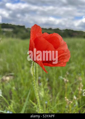 Lest We Forget red poppy remembrance banner flag depicts armed soldiers ...