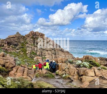 Walkers hiking the Cape to Cape Track walking through Boranup Forest 1 ...
