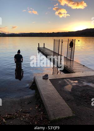Wild swimming in Lake Windermere at dusk, Cumbria Lake District Stock ...