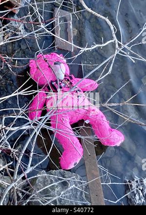 Discarded teddy bear Stock Photo - Alamy