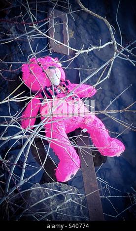 Discarded teddy bear washed ashore Stock Photo - Alamy