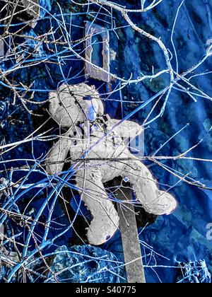 Discarded teddy bear Stock Photo - Alamy