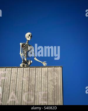 Skeleton on roof Stock Photo - Alamy