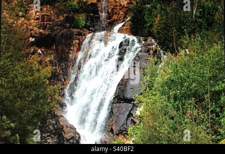 Images of Australia, Stevensons Falls, The Otways, Victoria, waterfalls ...