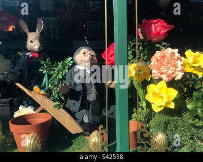 Curious Fox gift shop Stock Photo - Alamy