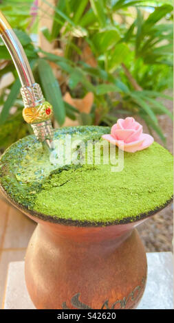 brazilian chimarrao hot drink yerba mate traditional infusion from ...