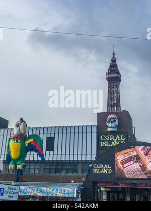 Parrot at Coral Island, Blackpool Stock Photo - Alamy