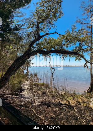 Blakeley State Park waterfront Stock Photo - Alamy