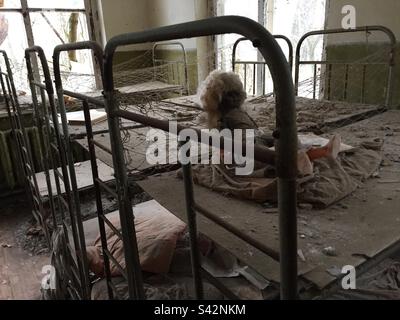 Chernobyl exclusion zone, abandoned children’s nursery/kindergarten ...