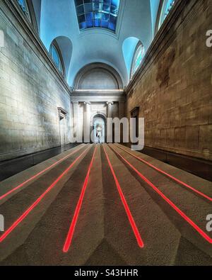 Vong Phaophanit, Neon Rice Field 1993, Tate Britain, London, England ...