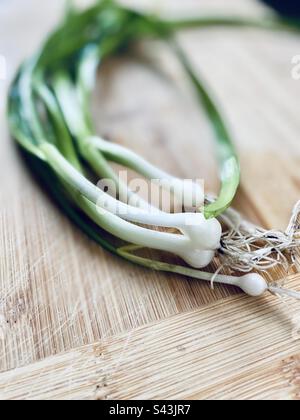 Cross-section of a leek Stock Photo - Alamy