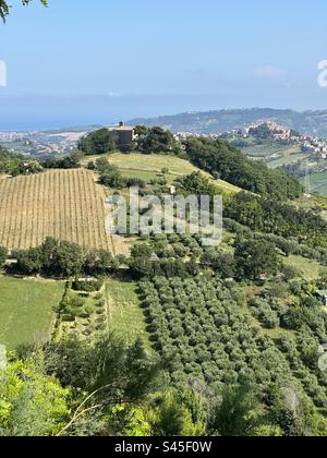 Italy, Marche, landscape from Acquaviva Picena Stock Photo - Alamy