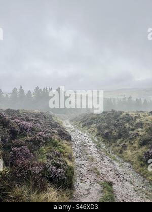 walk by shining tor peak district national park derbyshire england uk ...