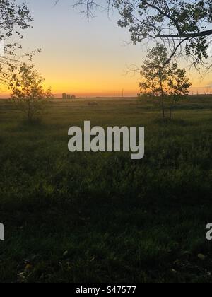A peaceful prairie morning Stock Photo - Alamy