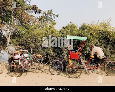 Electric rickshaws at Bharatpur bird sanctuary in Rajasthan in India ...