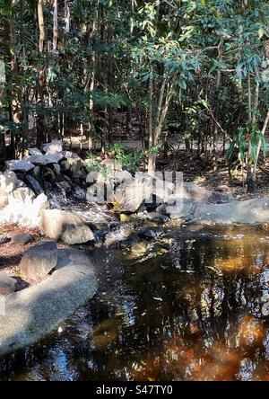 Open rainforest with man-made waterfall Stock Photo - Alamy