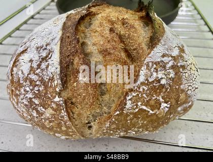 Sourdough bread homemade Australia Stock Photo - Alamy
