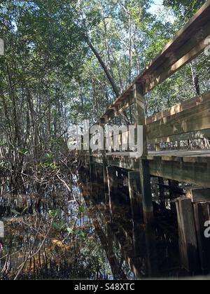 everglades wood walkway Stock Photo - Alamy