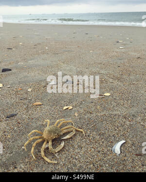 Low angle view of cute little toddler sitting on the cabinet Stock ...