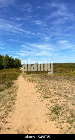 Desert-like hiking trail in the Tablemoutain National Park, Cape Town ...