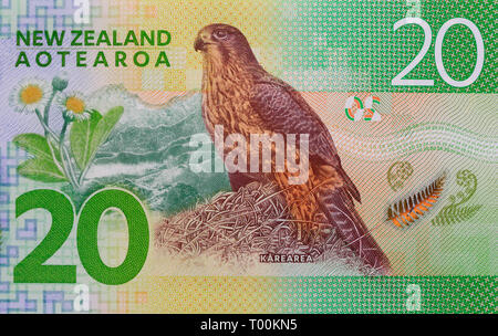 A New Zealand 20 dollar note Stock Photo - Alamy