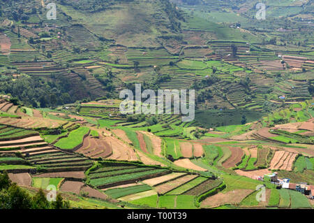 Poombarai Village and terraced farming in Kodaikanal Stock Photo - Alamy