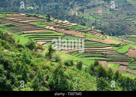 Poombarai Village and terraced farming in Kodaikanal Stock Photo - Alamy