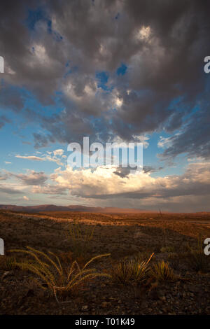 Fort Quitman, Hudspeth County, Texas, USA Stock Photo - Alamy
