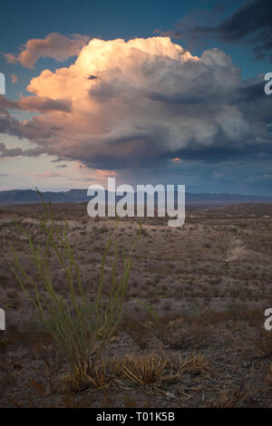 Fort Quitman, Hudspeth County, Texas, USA Stock Photo - Alamy