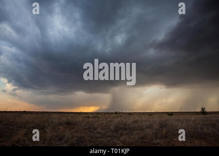 , Hockley County, Texas, USA Stock Photo - Alamy