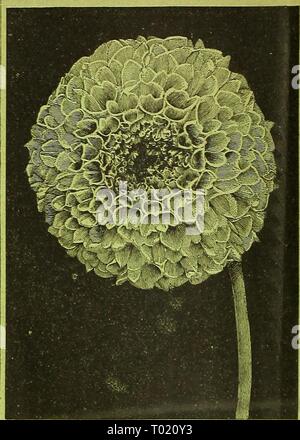Dreer's garden calendar (1890 Stock Photo - Alamy