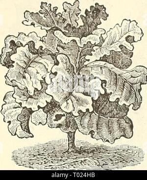 Dreer's garden calendar 1891 Stock Photo - Alamy