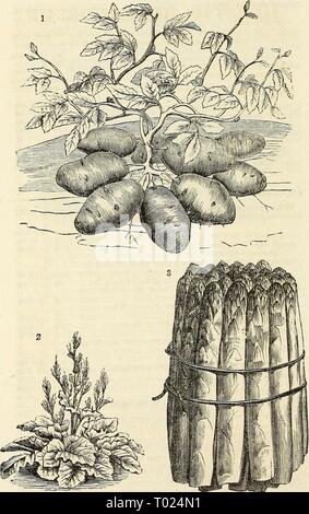 Dreer's garden calendar 1876 Stock Photo - Alamy