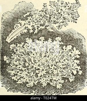 Dreer's garden calendar 1891 Stock Photo - Alamy