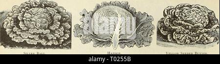 Dreer's garden calendar 1889 Stock Photo - Alamy