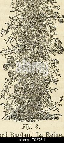 Dreer's garden calendar for 1864 Stock Photo - Alamy