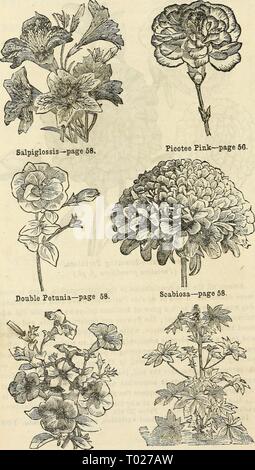 Dreer's garden calendar 1874 Stock Photo - Alamy