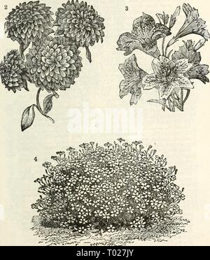 Dreer's garden calendar : 1875 . dreersgardencale1875henr Year: 1875 ...