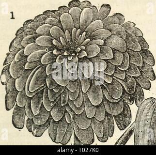 Dreer's garden calendar : 1876 . dreersgardencale1876henr Year: 1876 92 ...