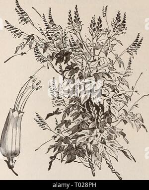 Dreer's garden calendar for 1892 Stock Photo - Alamy