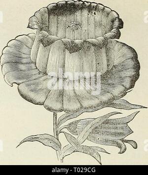 Dreer's garden calendar (1890 Stock Photo - Alamy